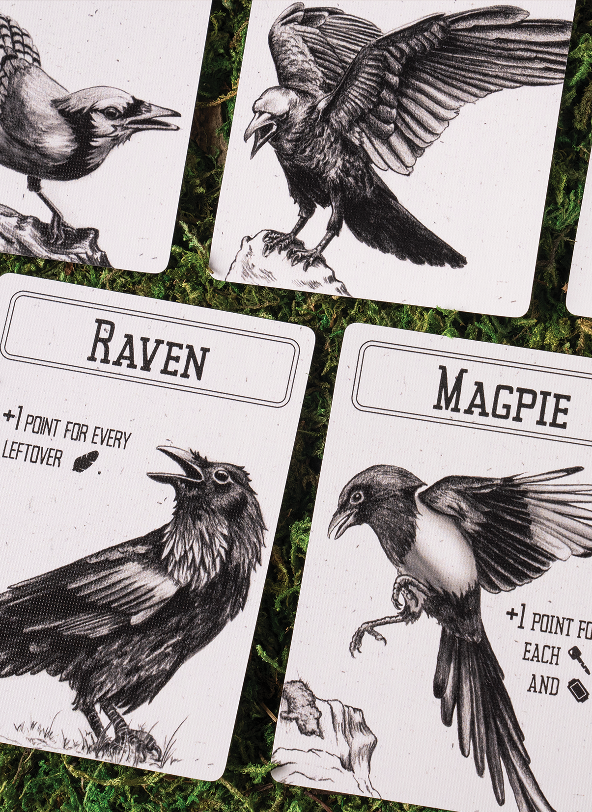 Corvids (Upgraded Edition Pre-Order) – DVC Games