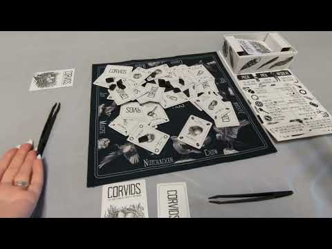 Corvids – DVC Games